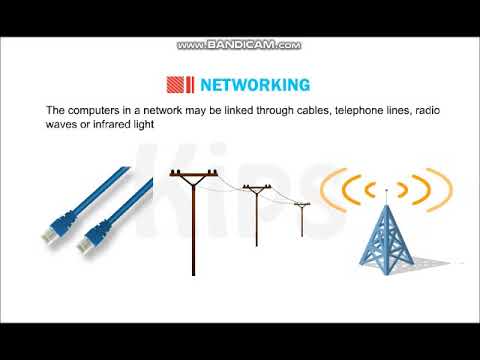Std VIII Lesson 1 Networking Concepts #networking