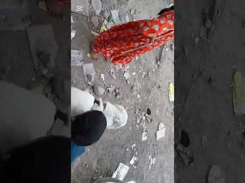 my fast vlog shor m,e