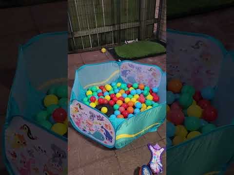 Rosie & Roux's Spring Fling