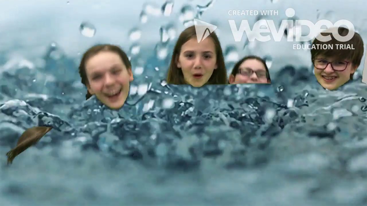 Girls Solve IT  Quest #2 - FLEX