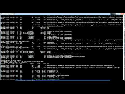 Using file descriptors for debugging