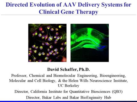 Directed Evolution of AAV Delivery Systems for Clinical Gene Therapy