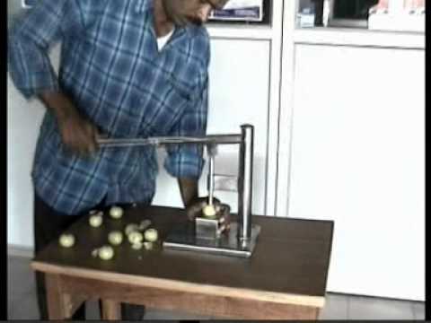 Amla Processing Machine at Best Price in India