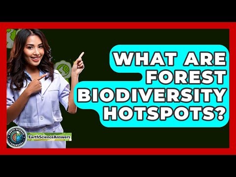 What Are Forest Biodiversity Hotspots? - Earth Science Answers