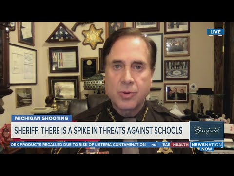 Copycat threats in Michigan now extending to businesses, sheriff reports | Banfield