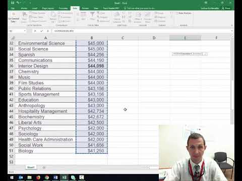 The Mean in Excel