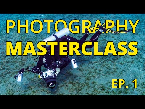 Ep. 1 - Alex Mustard's Masterclass in Underwater Photography