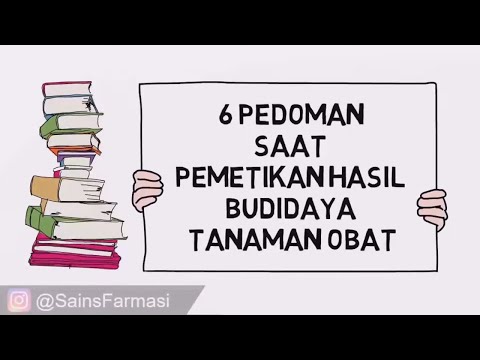 6 Pedoman Saat Pemetikan Hasil Budidaya Tanaman Obat