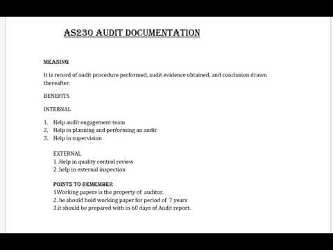 SA-230 Audit documentation