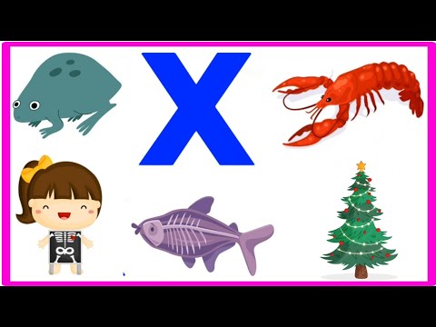 Words that Start with X | X Words Vocabulary | Letter X for Toddlers | Kids Learning video