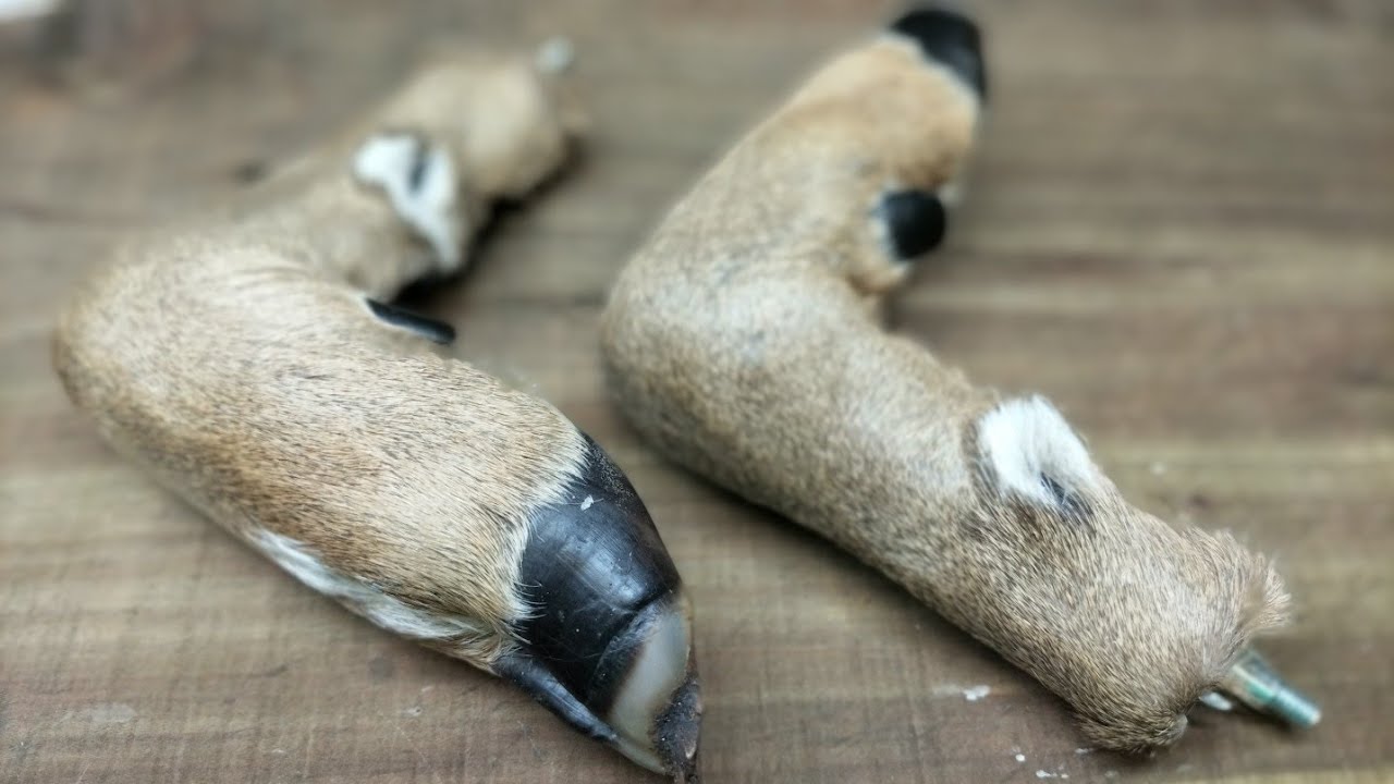 How To Mount Deer Feet (Hooves) ***SUPER EASY*** WHITETAIL TAXIDERMY!