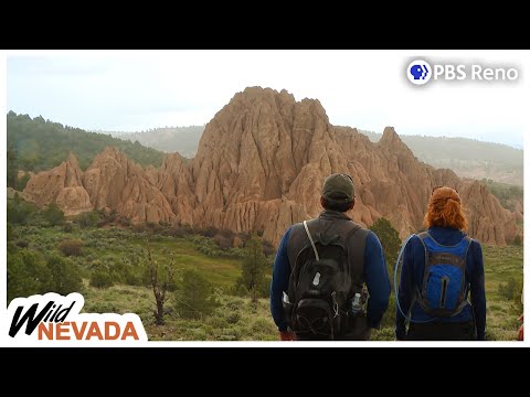 Springs in the Desert | Spring Valley State Park | Wild Nevada
