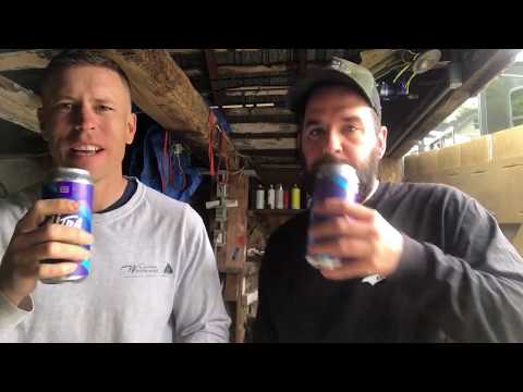 LIVING LEVANTE - Levante Brewing Company - Craft Beers from West Chester, PA - BEER RANKINGS