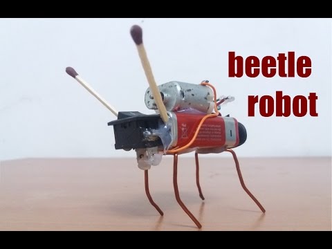 Project – a DIY insect robot (easy and simple) – DIY-India.com Blog