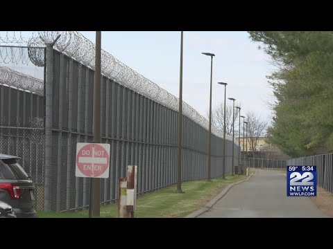 Prisoner release options