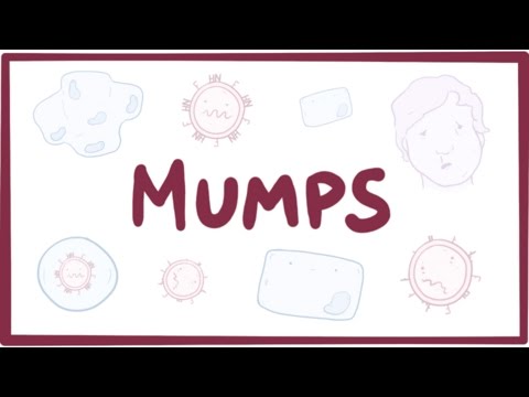 Mumps - symptoms, diagnosis, treatment, pathology
