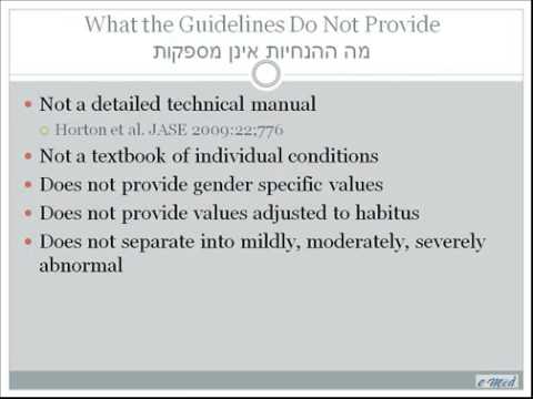 Echocardiographic Evaluation of the Right Ventricle - A Guidelines-Based Approach