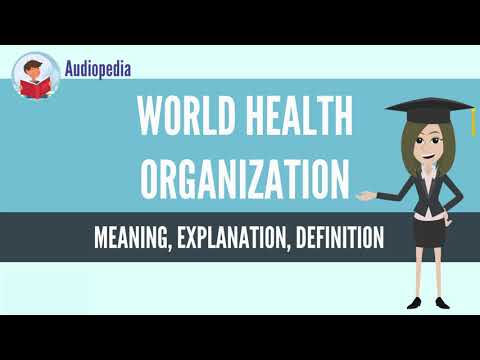 What Is WORLD TRADE ORGANIZATION? WORLD TRADE ORGANIZATION Definition & Meaning