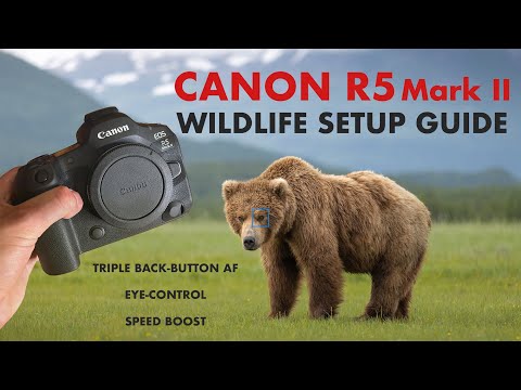Canon R5 II: Wildlife photo & video setup guide