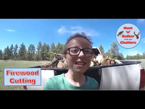 Cutting Firewood in Arizona - Equipment - Rules - What Kind Of Wood To Cut For Firewood - Juniper