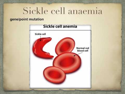 A level. O.8. Introduction to mutations and genetic mutations