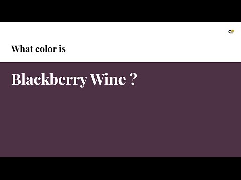 Blackberry Wine color #4d3246 hex color - Violet color - Cool color 4d3246