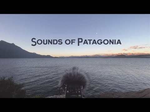 Sounds of Patagonia in 4K (Sony PCM-D100)