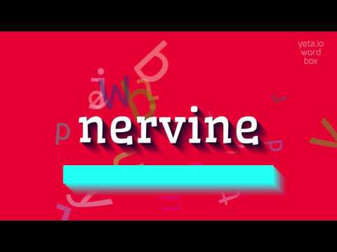 How to say "nervine"! (High Quality Voices)