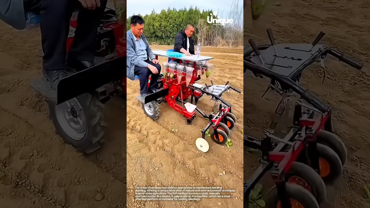 Automated seedling planter_ revolutionizing small-scale
