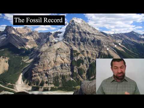2_3 Evidence for Evolution 8: Fossil Record
