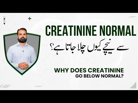 Creatinine Normal Sa Niche Jana Ki Wajohat | Causes of Low Creatinine in Urdu/Hindi