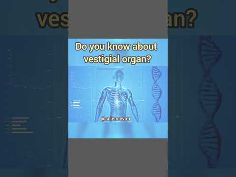Do you know about vestigial organ? #evolution #science #biology #facts
