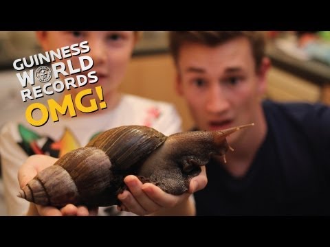 Biggest Snail in the WORLD // On The Road