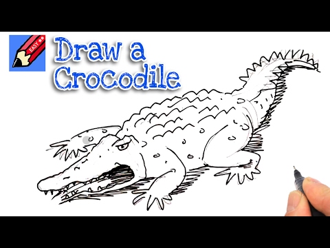 How to draw a crocodile | Shoo Rayner
