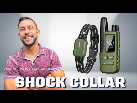 DT-61 Dog Training Collar with Remote for All Breeds