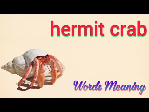 hermit crab meaning in hindi | hermit crab ka matlab kya hota hai | hermit crab means | hermit crab