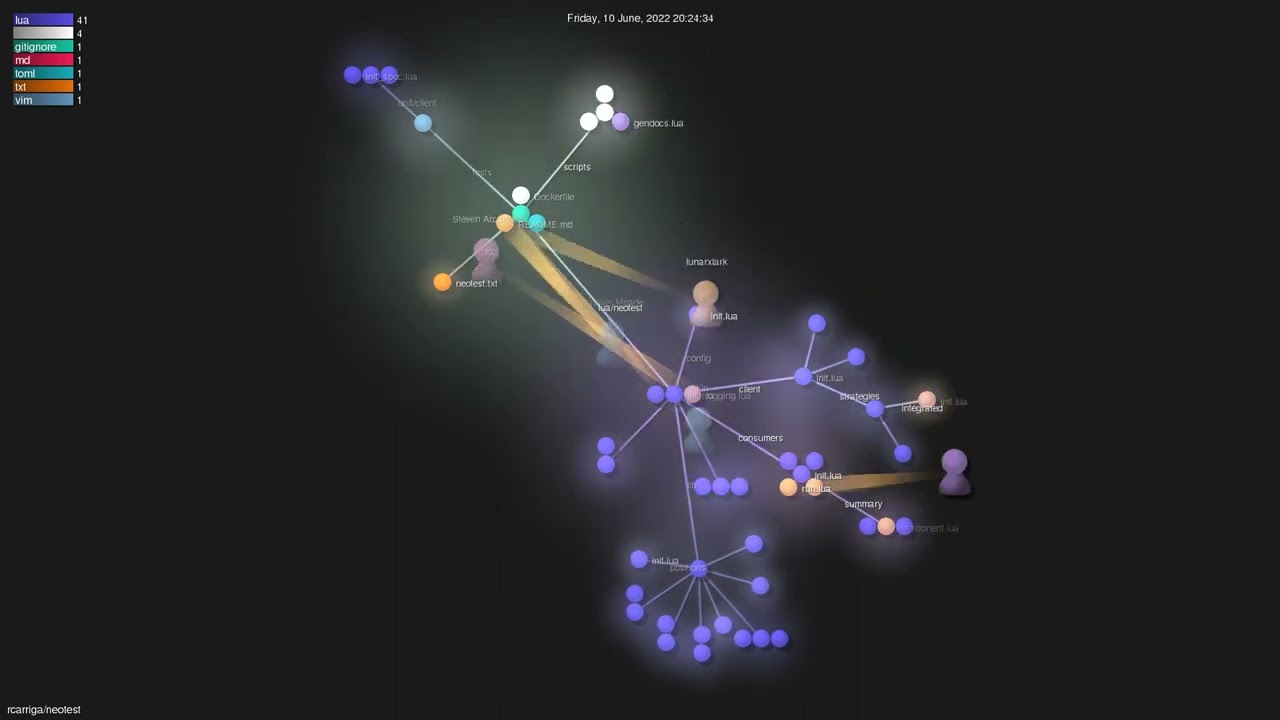 rcarriga/neotest - Gource visualisation