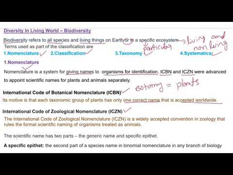 Diversity in Living World [P-2] || Biodiversity, Nomenclature || ICBN, ICZN ||  BOTANY | NEET 2023