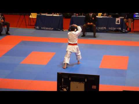 Karate 1 Paris 2016 kata male, JPN Shimbaba – Unshu | KARATE y algo más ...