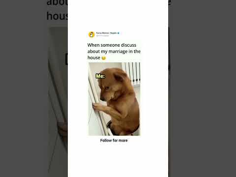#memoseppa #dailymemes #viral #memes