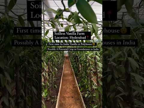 I want to start Vanilla Farming