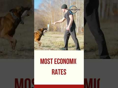 Dog Training Facebook Vertical Video