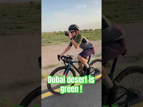 Something you never expect to see while cycling in the desert in Dubai - it’s green)