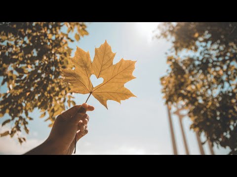 Digital Media and Journalism (BA)