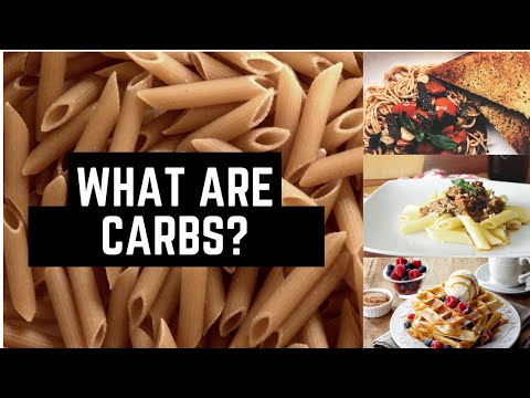 What Are Carbs? : 25 Min Phys