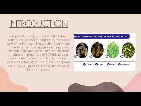 Single cell protein SCP
