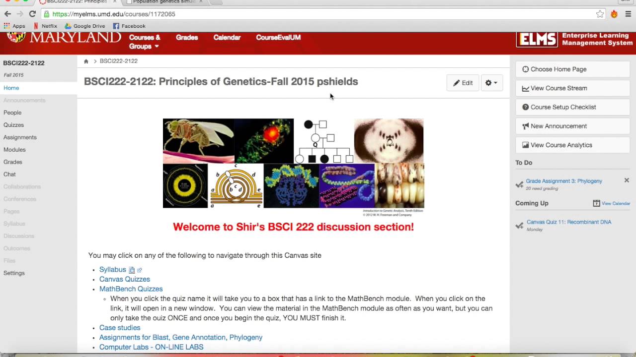 Population Genetics Lab Tutorial
