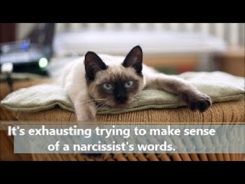 The Narcissist's SOULMATE? Really?? Or is it just a word?