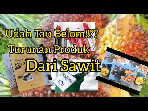 Produk dari minyak kelapa sawit || dan apa itu CPO dan KPO sawit