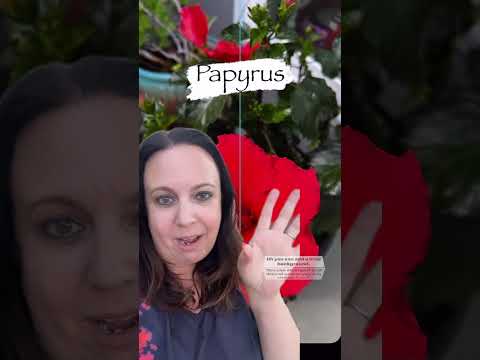 Instagram Secret Font Hack